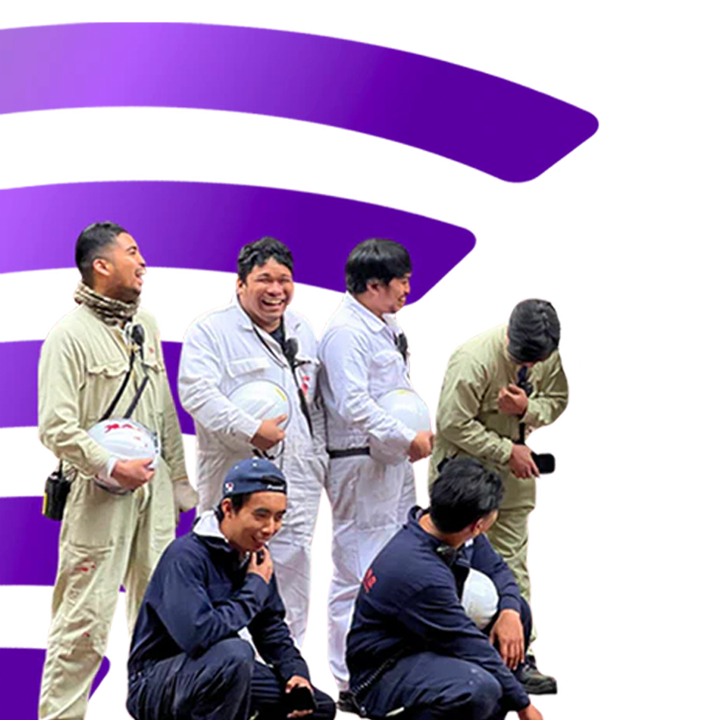 About us – SEAGULLS DATA OPTIONS